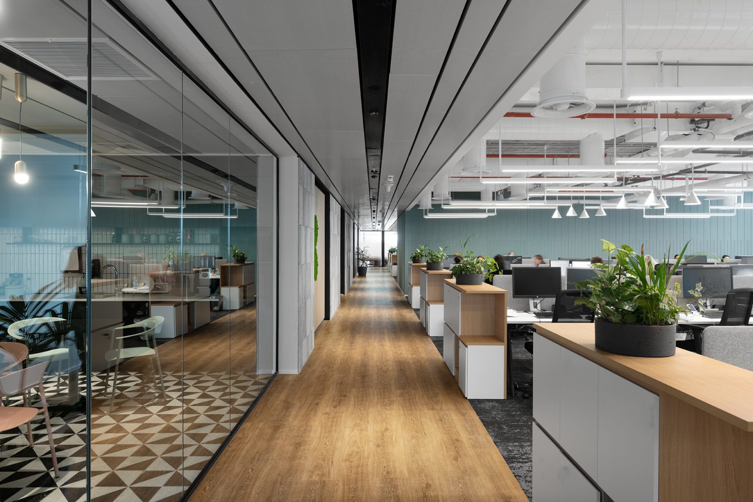 ISRACARD : GINDI STUDIO